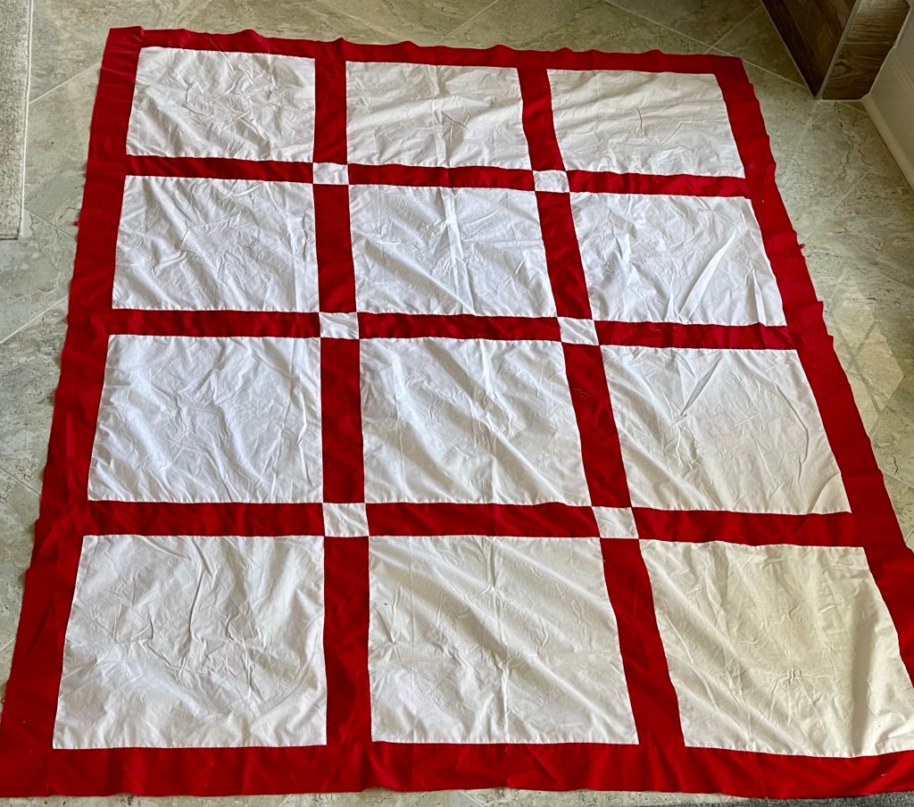 Fixing the Red Dresden Plate Quilt Top, Part 2 – Rhonda Dort